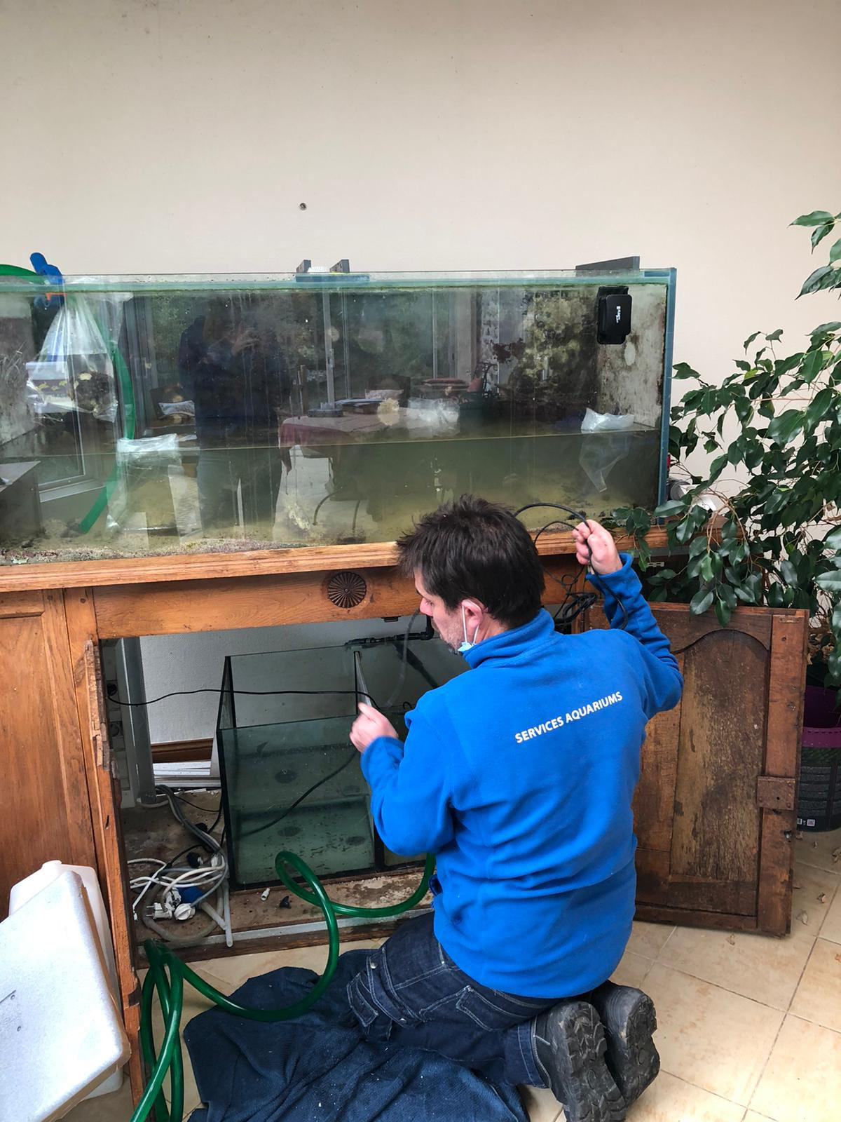 CEDA - Votre Partenaire Aquarium à Paris : Création, Location ...